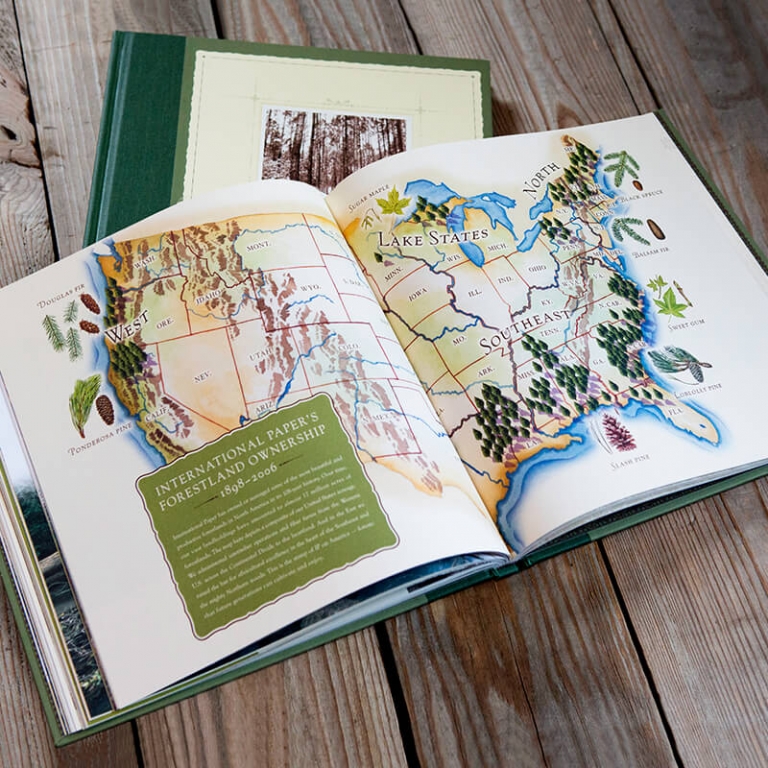 Portfolio | Counterpart